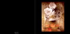 Through A Glass Darkly - Publish your own book | Solentro